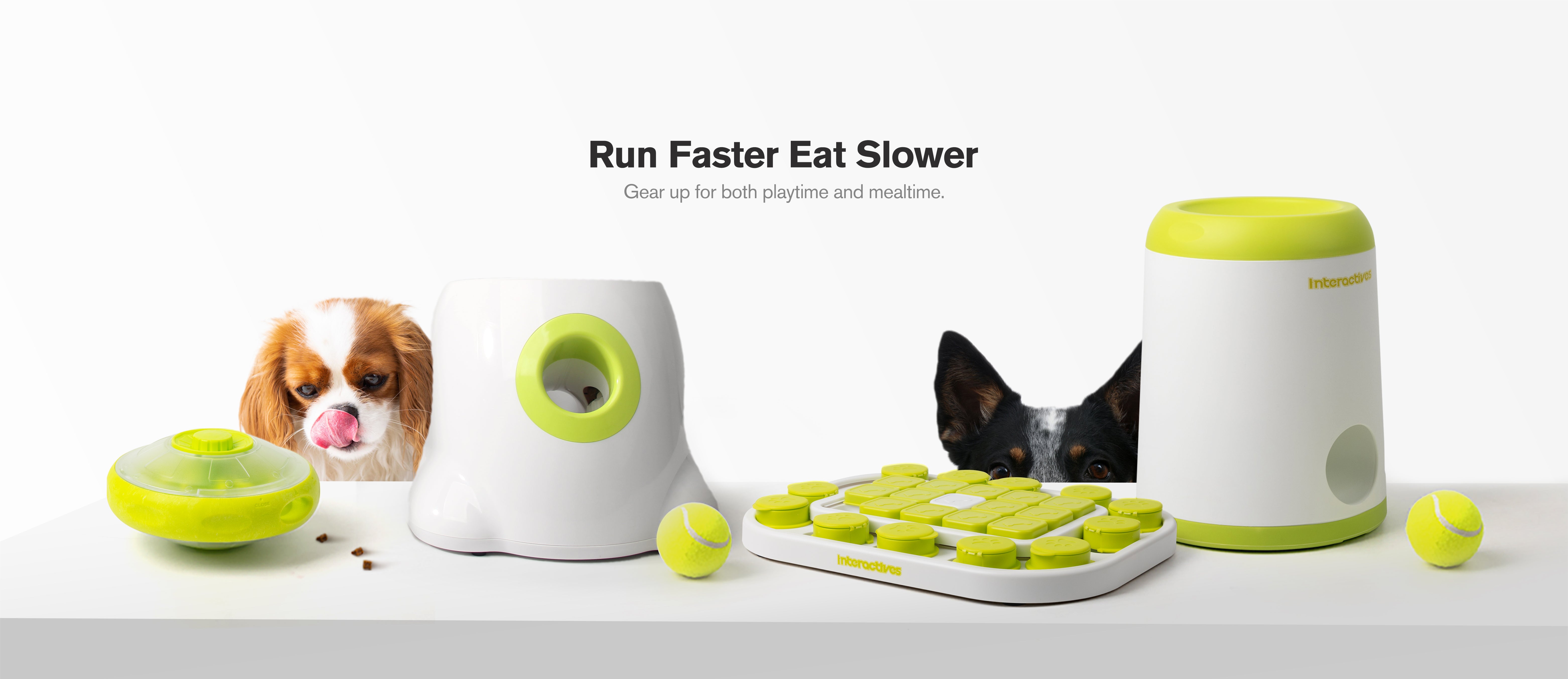 Pet Toys & Supplies for Cat and Dog - All For Paws Store – AFP(All For ...